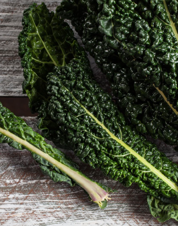 Cavolo Nero: Proprietà, Benefici e Usi in Cucina | Céréal