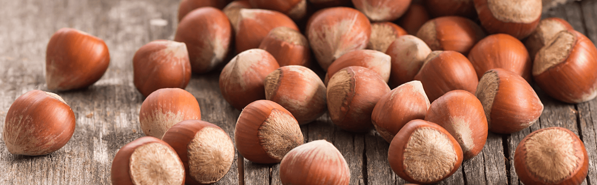 Nocciole: proprietà, benefici e qualche curiosità | Céréal