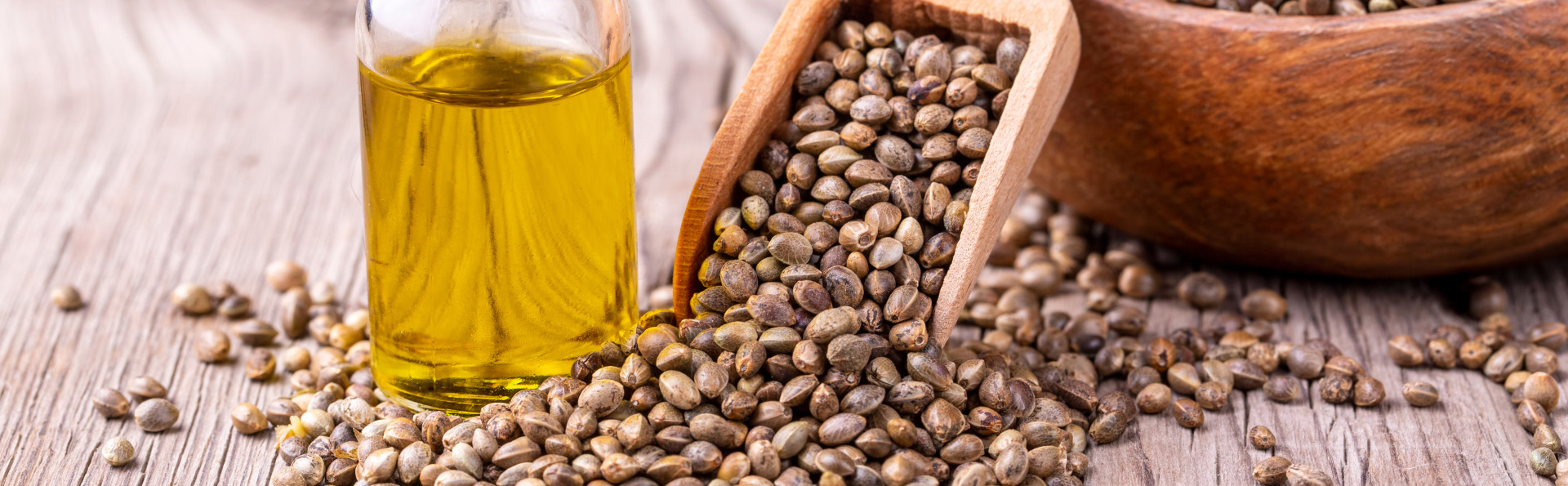 Semi di Canapa Benefici e Proprietà | Céréal