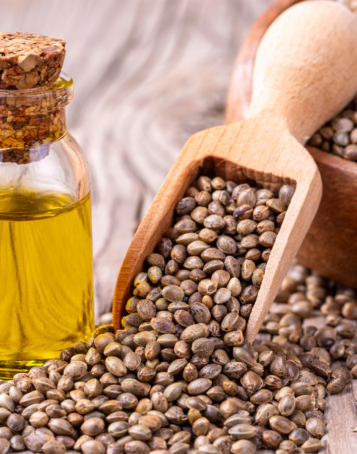 Semi di Canapa Benefici e Proprietà | Céréal